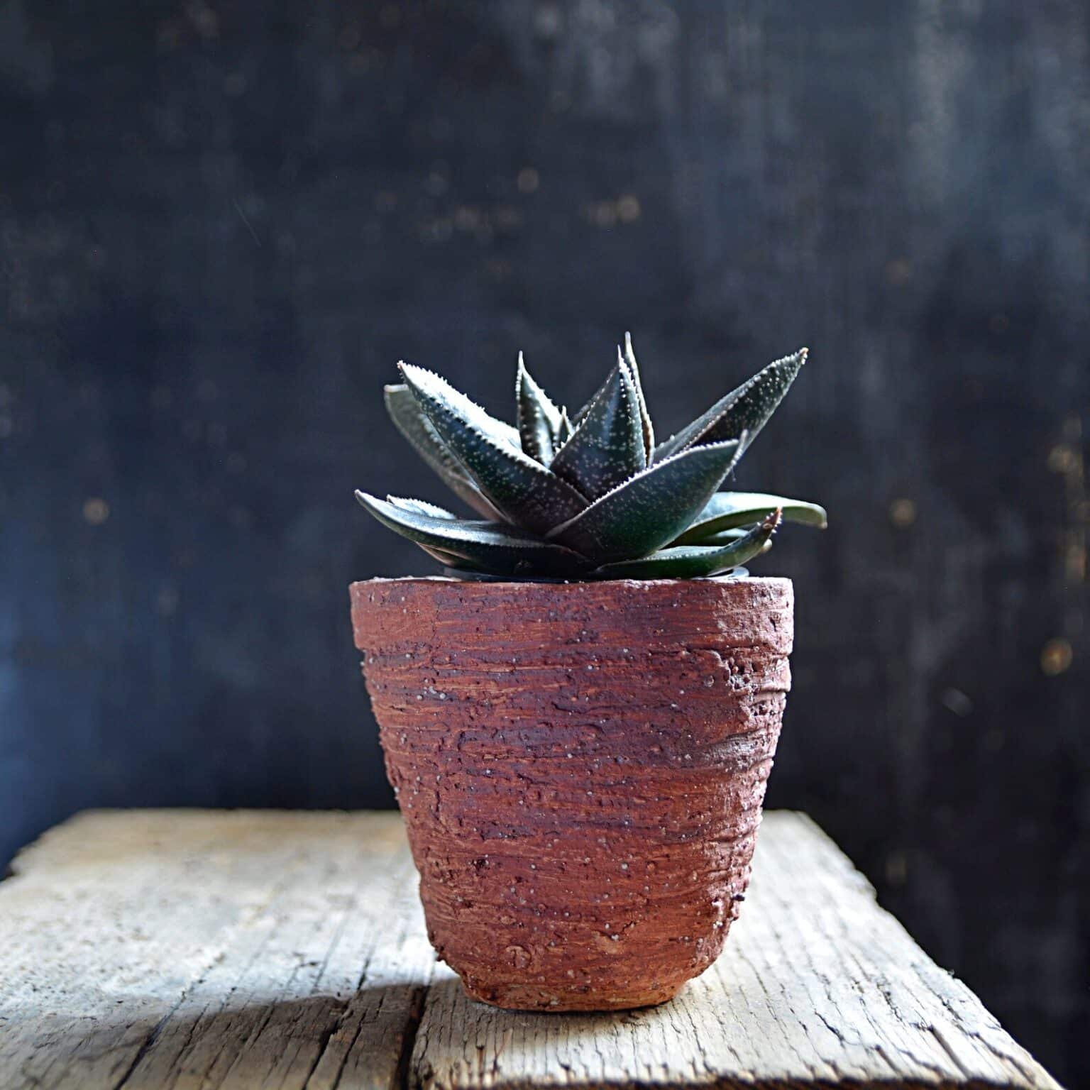 Don Ricardo - Clay Additives - The Ceramic School