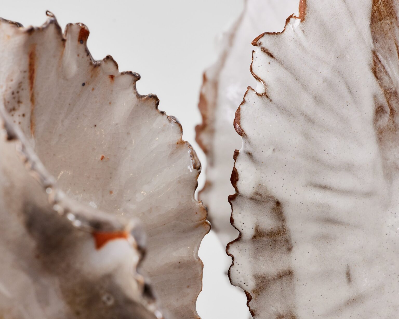 Chala Toprak: How to Build “Wild Petals” Sculptures - The Ceramic School